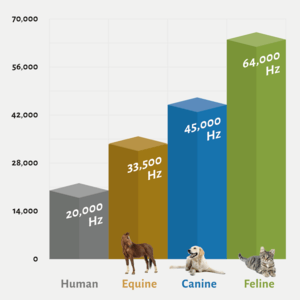 Home - thePetCalmer.com Pet Tunes Music Calms Pet's Anxiety
